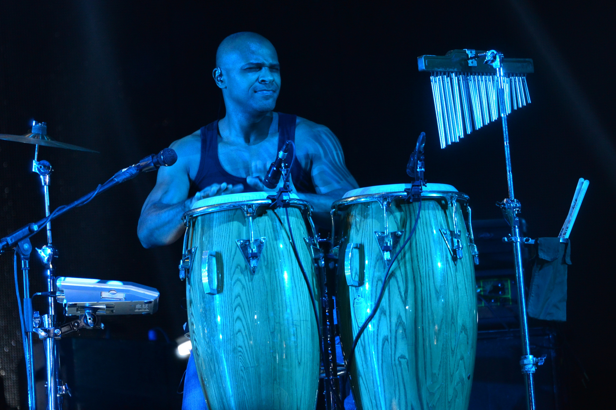 events_bucharest_days_concert_holograf_8 – Cristina Ionescu